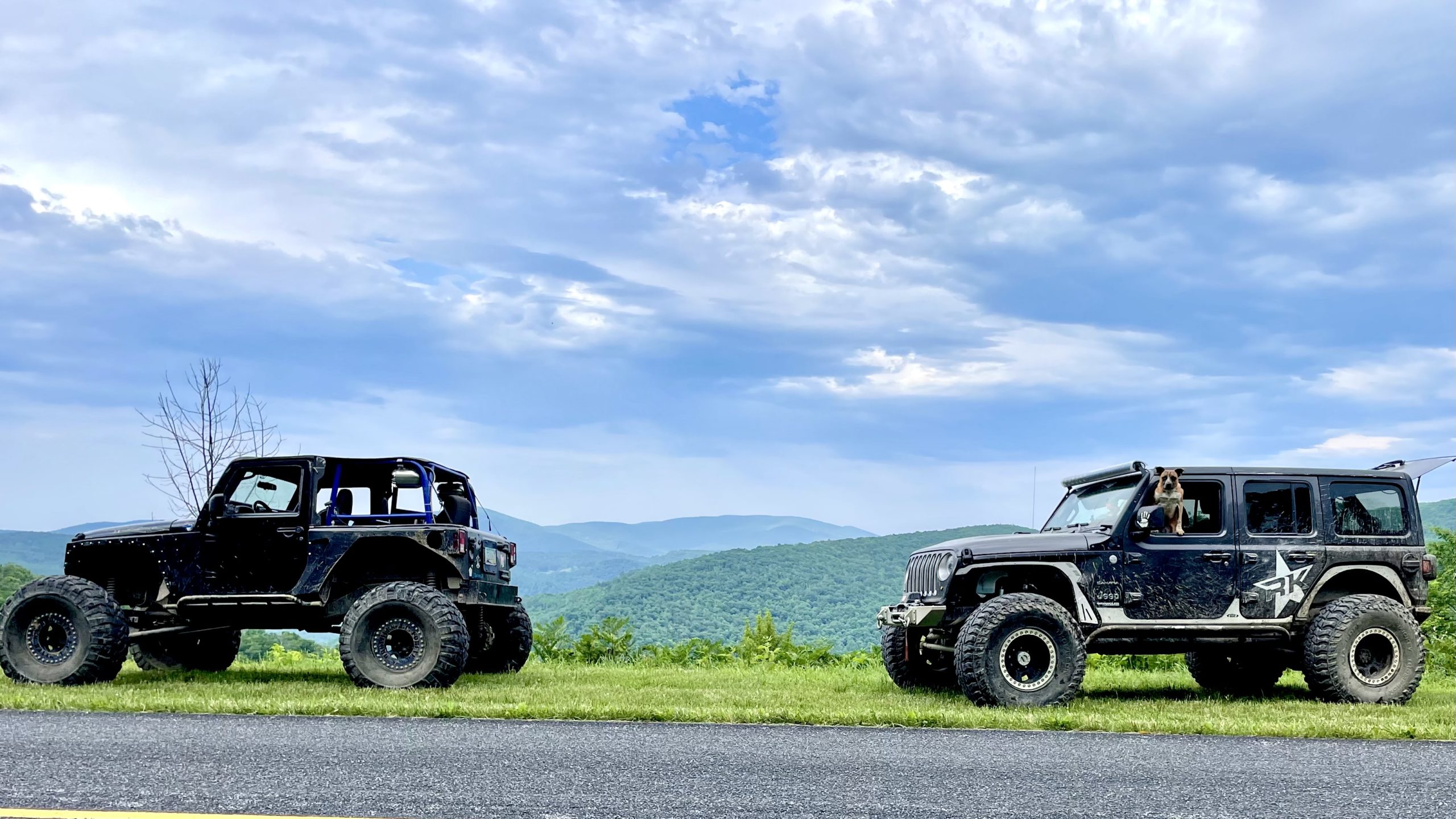 2020 Jeep Wangler JL – Resurgence | CarBuff Network