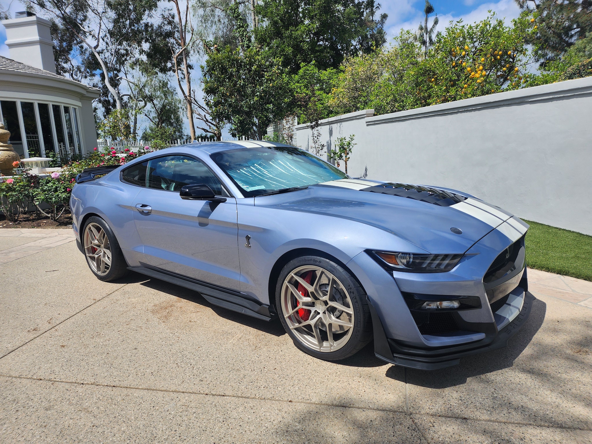Arya's Mustang GT500 on Forgeline VV1R Wheels - CarBuff Network